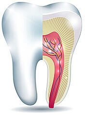 Bailie Dental Lab – dental lab dentures